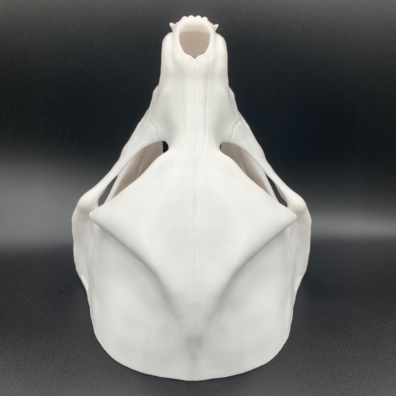 Wolf Skull Realistic Bone Spooky Mask Movable Moving Hinge - Etsy