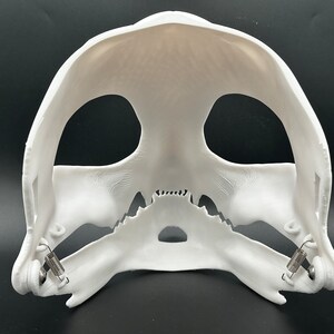Cat Skull Bone Mask - Movable Moving Hinge Articulating Jaw- 3D Printed ...