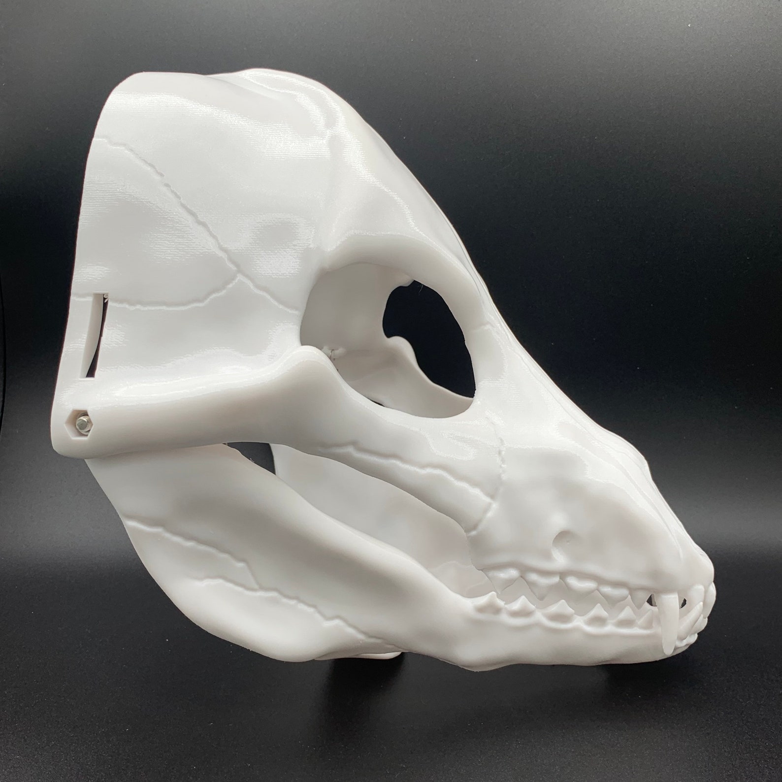Wolf Skull Realistic Bone Spooky Mask Movable Moving Hinge - Etsy