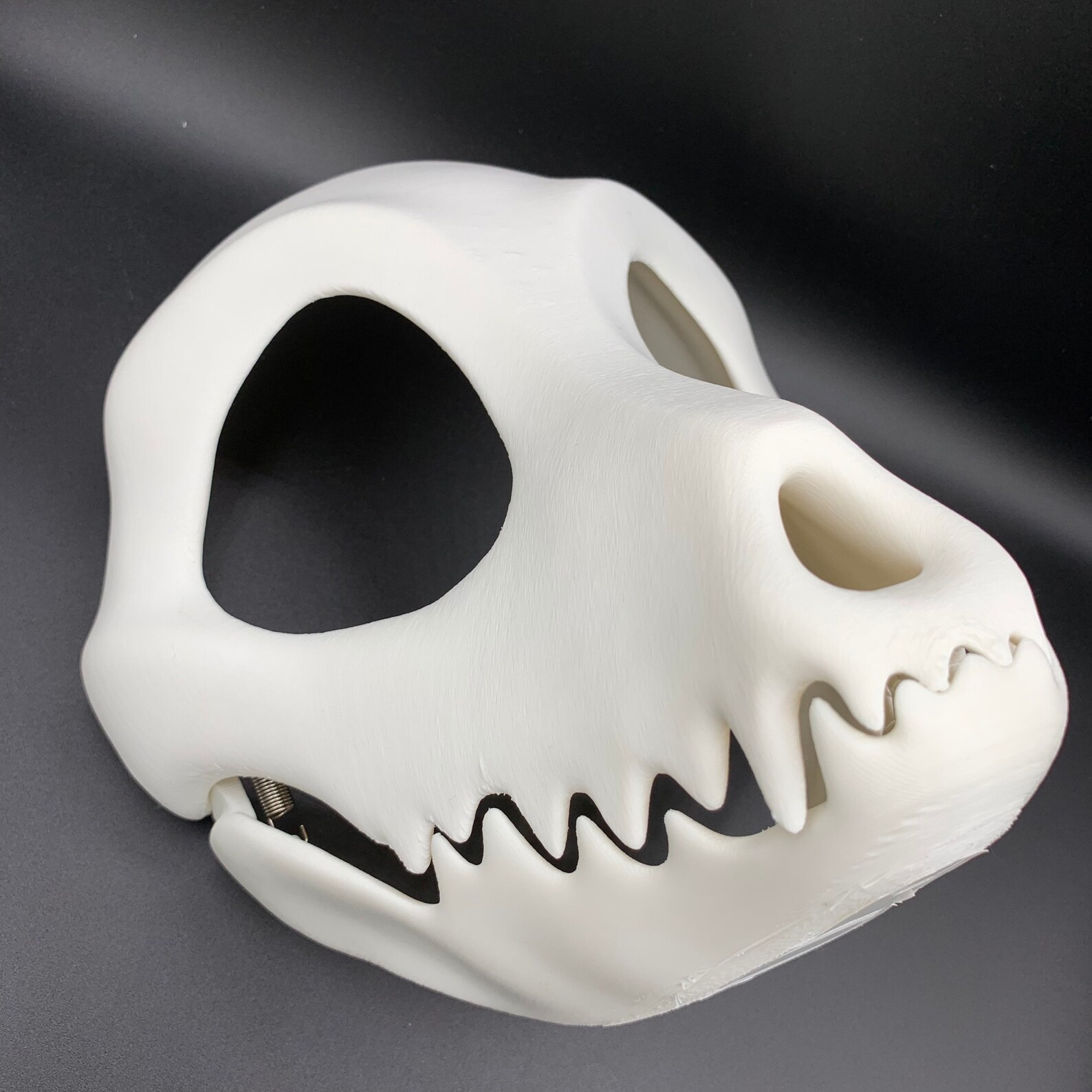 Toony Canine Bone Skull Mask Movable Moving Hinge Jaw 3D - Etsy UK