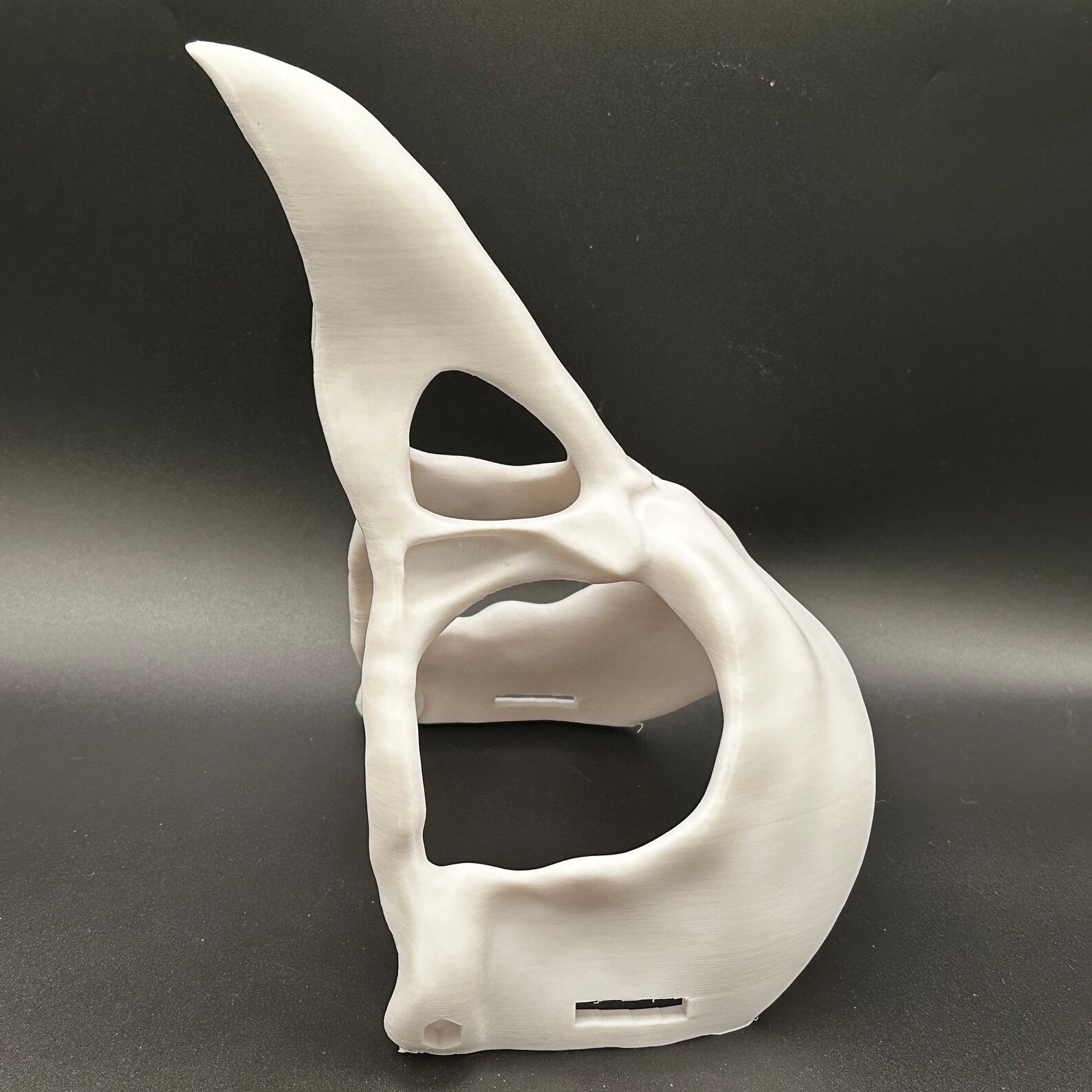 Raven Bird Skull Corvus Bone Skull Mask Movable Moving Hinge Jaw 3D ...