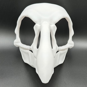 Raven Bird Skull Corvus Bone Skull Mask - Movable Moving Hinge Jaw- 3D ...