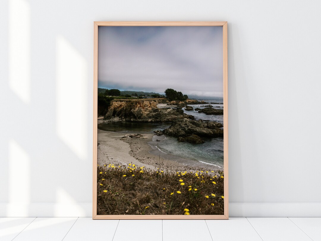 Sea Ranch Beach Seals Printable Wall Art | California Nature Ocean ...