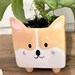 Welsh Corgi Planter Dog Planter Siberian Husky Planter - Etsy