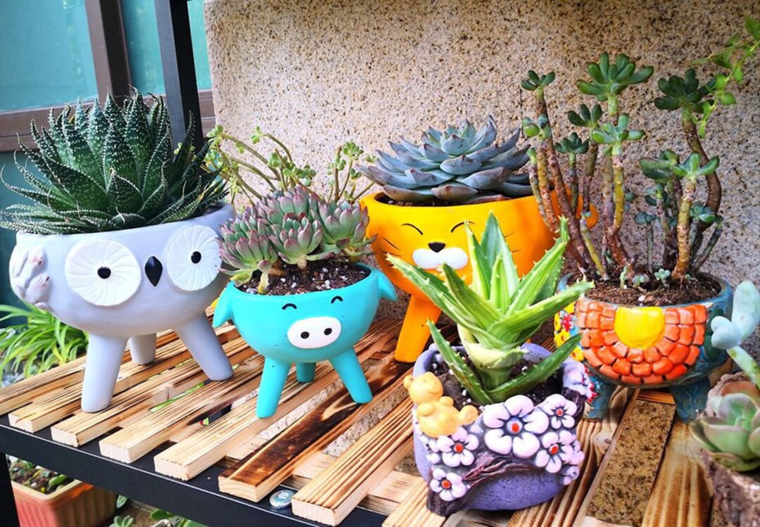 Cute Animal Planter With Legs Cat Planter Pot Owl Planter - Etsy