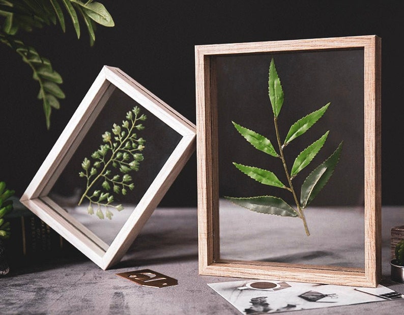 Herbarium Frame for Pressed Flowers Dried Flowers Frame | Etsy