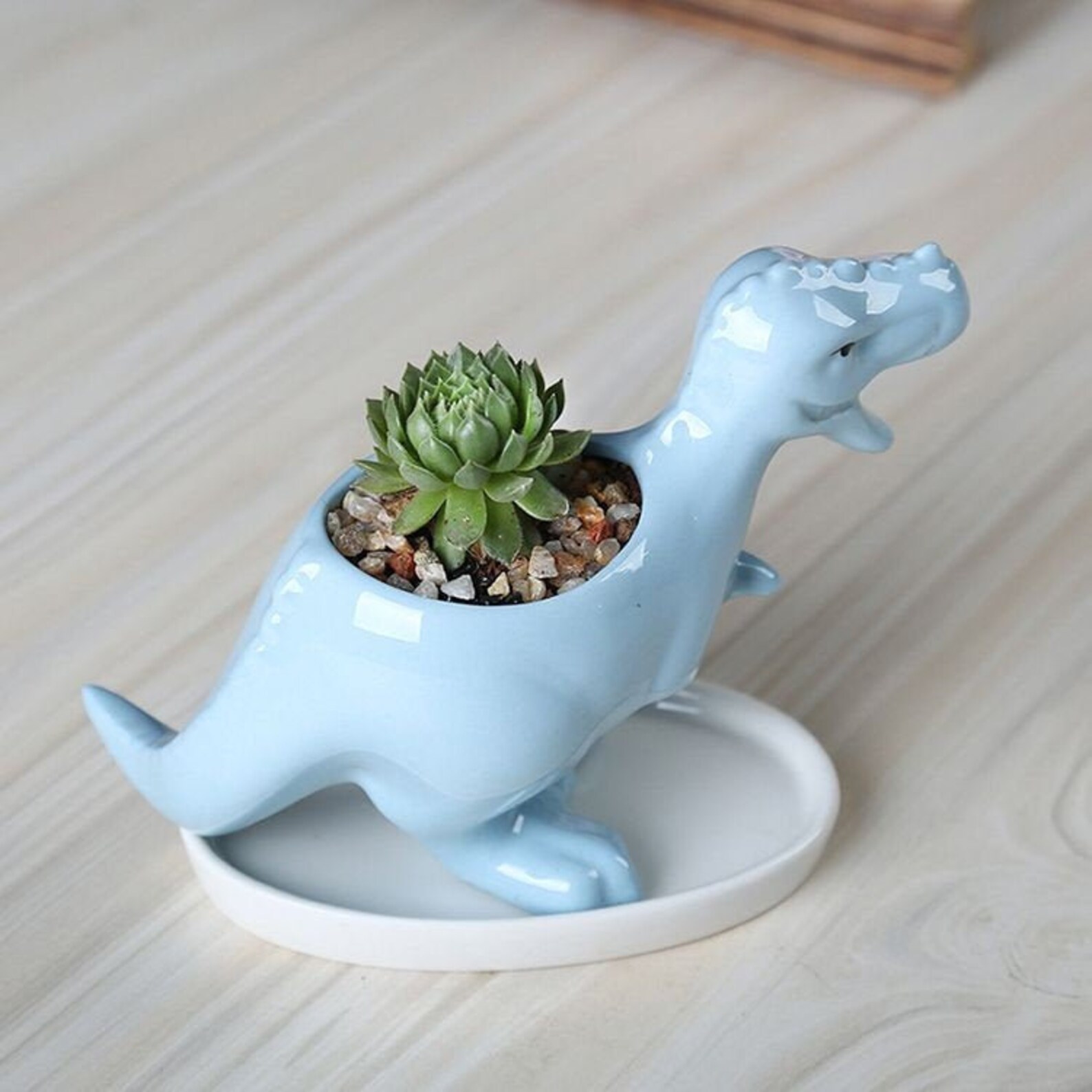 Tyrannosaurus Rex Succulent Planter T-rex Dinosaur Planter | Etsy