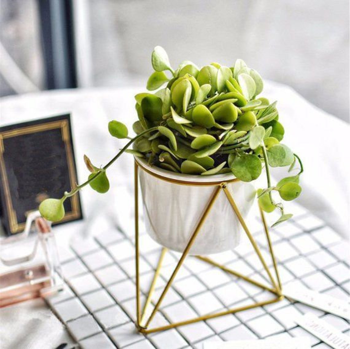 Ceramic Planter on a Metal Plant Stand Pedestal Plant Pot | Etsy