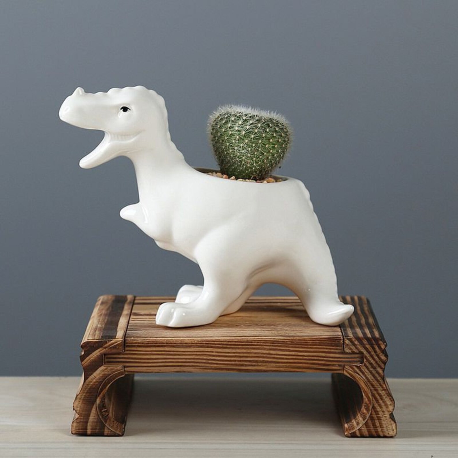 Tyrannosaurus Rex Succulent Planter T-rex Dinosaur Planter | Etsy