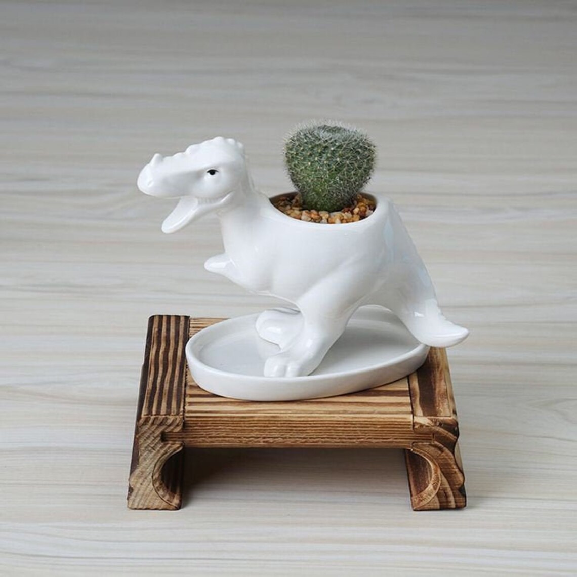 Tyrannosaurus Rex Succulent Planter T-rex Dinosaur Planter | Etsy