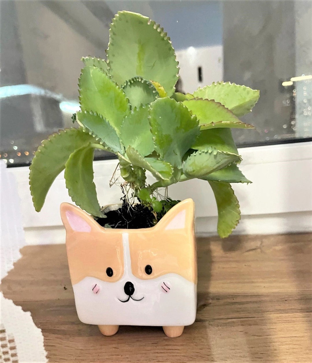 Welsh Corgi Planter Dog Planter Siberian Husky Planter - Etsy