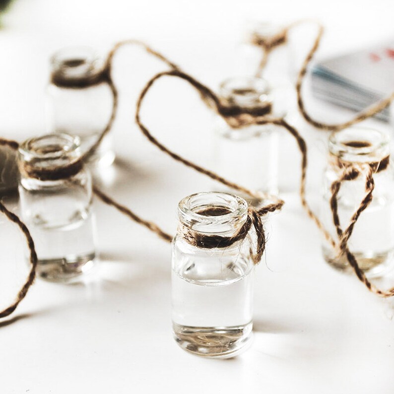 3 Strings of Tiny Hydroponic Vase Hanging Planter Hanging | Etsy
