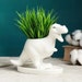 Tyrannosaurus Rex Succulent Planter T-rex Dinosaur Planter - Etsy
