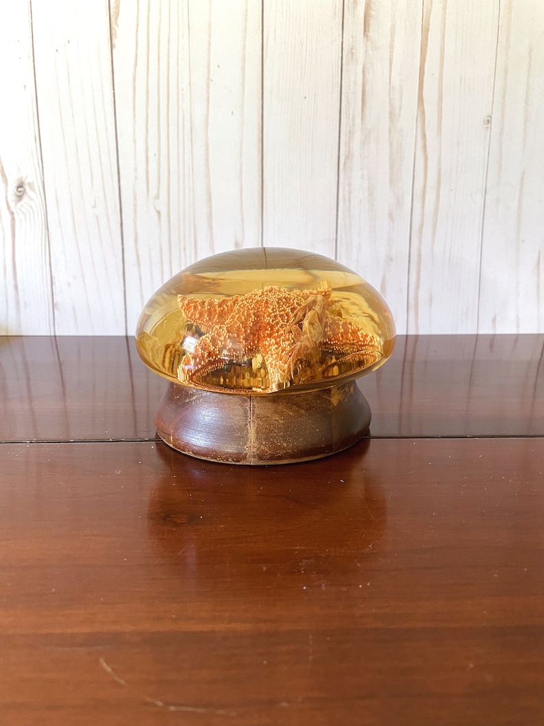 Starfish Paperweight, Vintage Paperweight, Nature Gems, Iminac Inc ...
