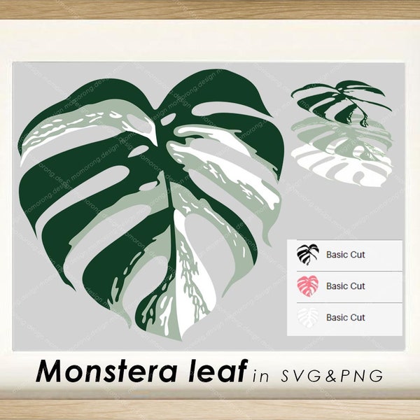 Variegated Monstera Leaf Svg - Etsy