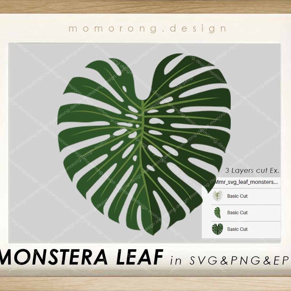 Monstera Albo Leaf Png - Etsy