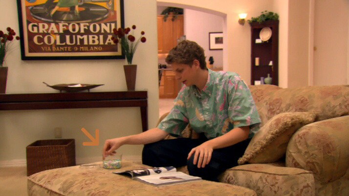 Arrested Development Poster, Bluth Family, Grafofoni Columbia Print ...