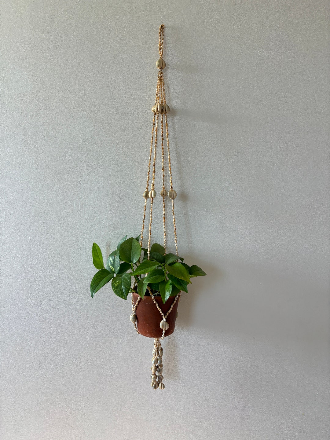 Vintage Sea Shell Plant Hanger Plant Lover Gift Indoor Boho Porch Patio ...