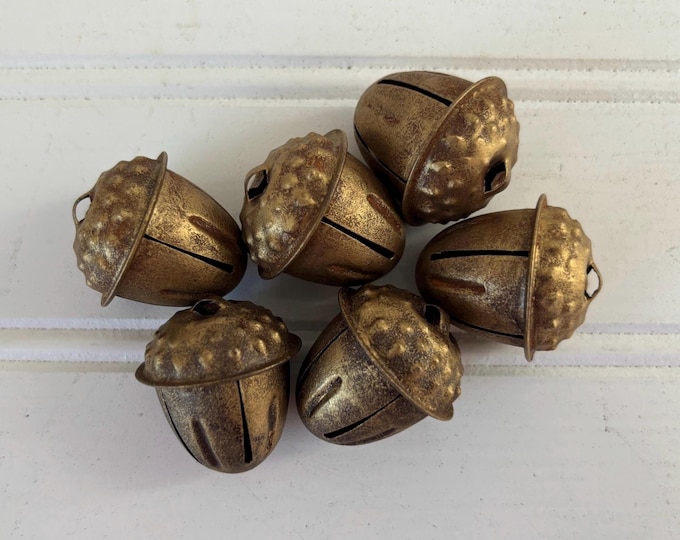 Mini Acorn Heads X 18 - Etsy