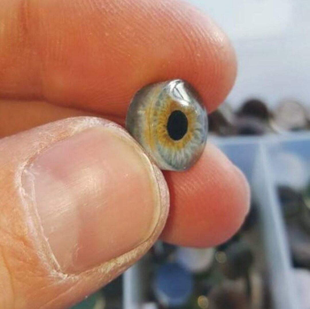 Colors Iris Eye - Etsy