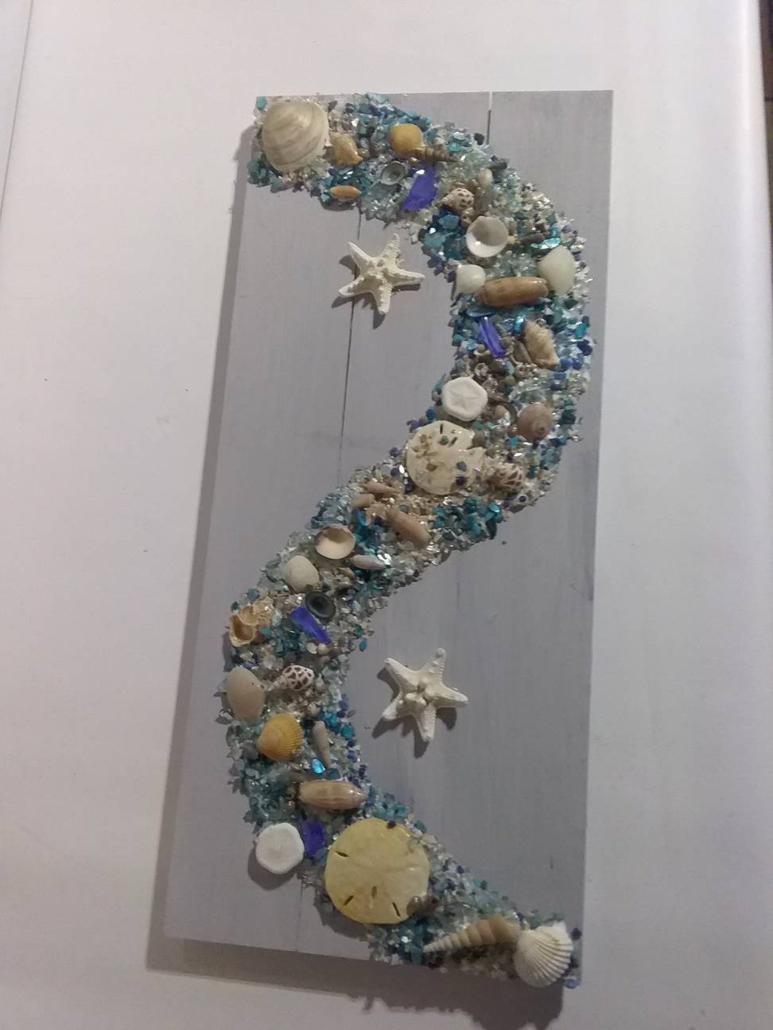 BEACH SHELL Wall Art Sea Shell Summer Decor Mounted on | Etsy