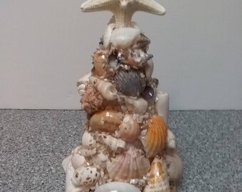 Shell Christmas | Etsy