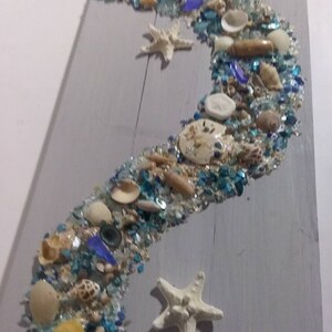 BEACH SHELL Wall Art Sea Shell Summer Decor Mounted on | Etsy