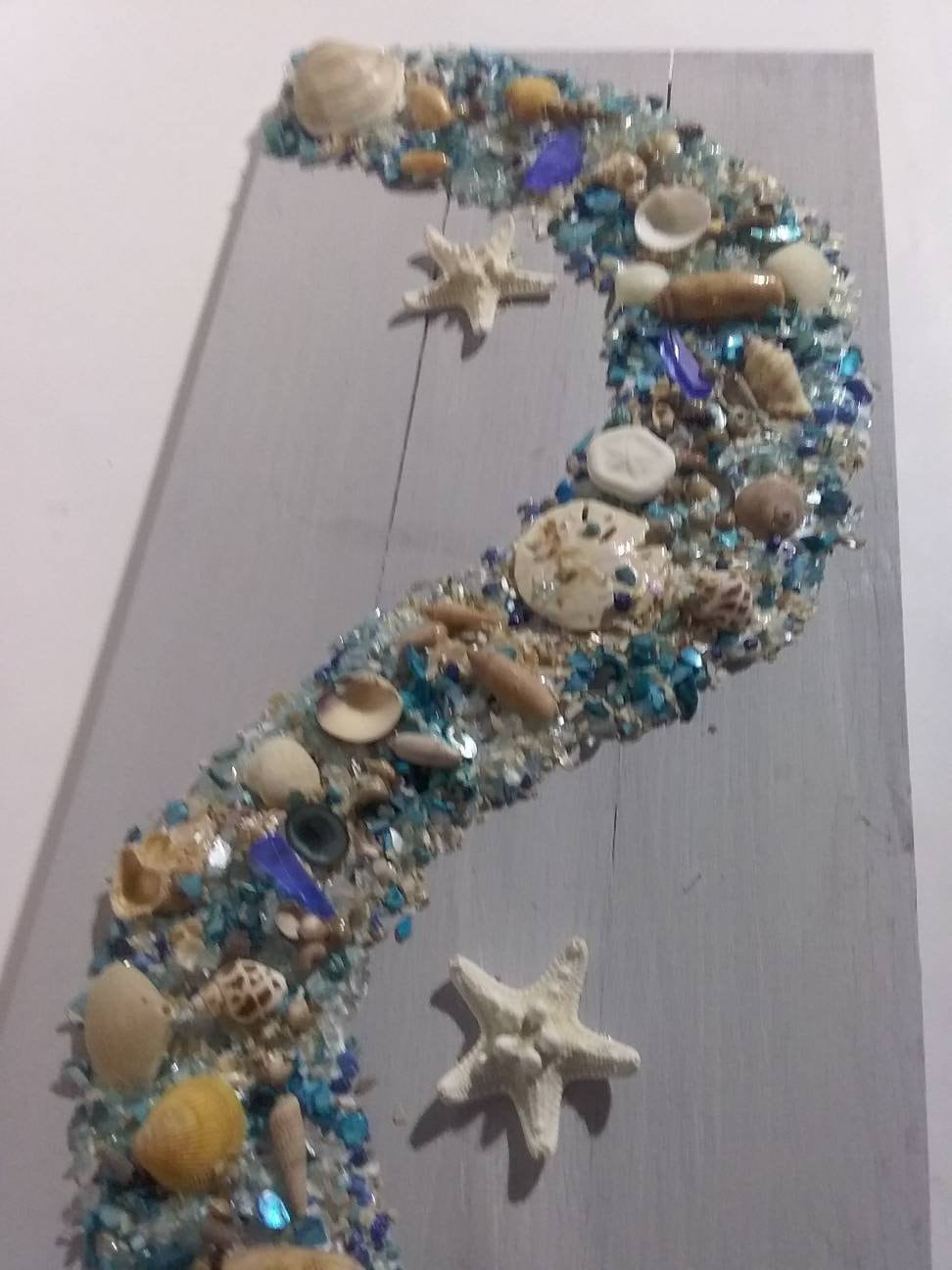 BEACH SHELL Wall Art Sea Shell Summer Decor Mounted on | Etsy