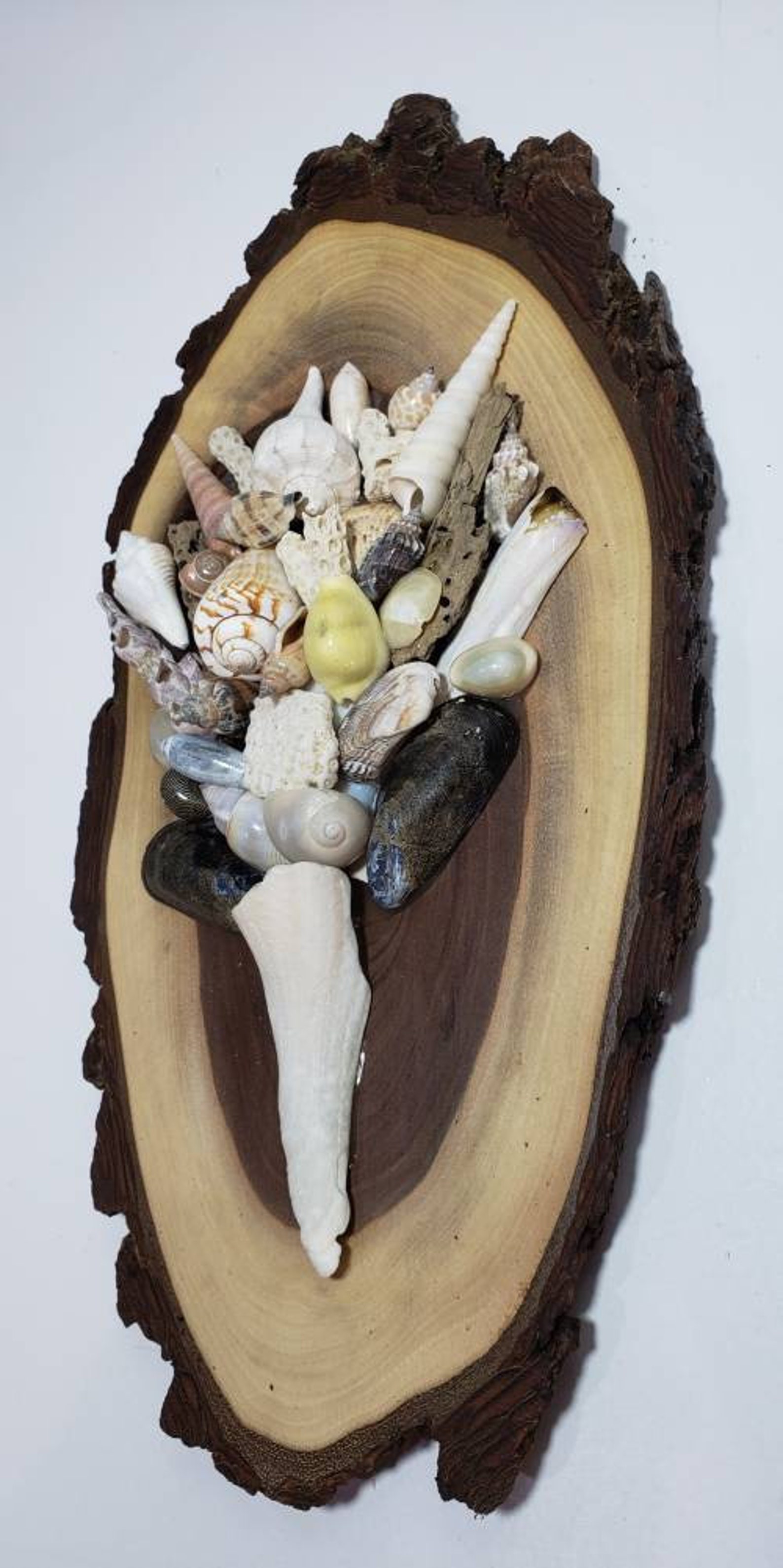SEA SHELL VASE Wall Hanging | Wood Slice | Coastal Decor | Beach Wall ...