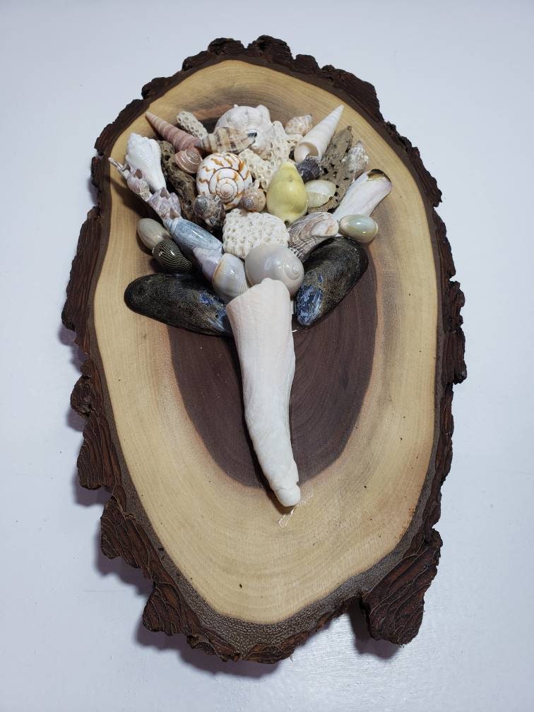 SEA SHELL VASE Wall Hanging | Wood Slice | Coastal Decor | Beach Wall ...