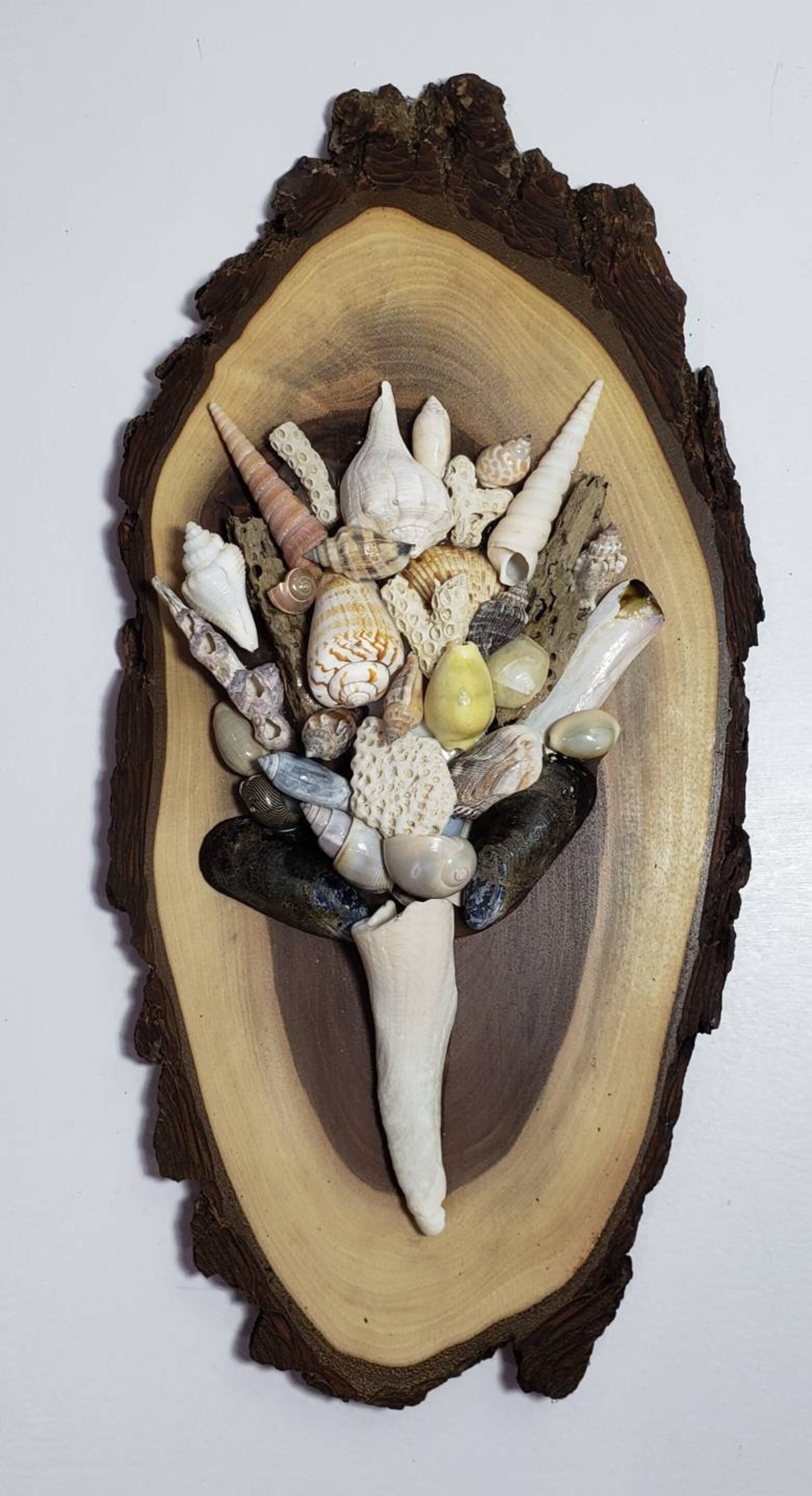 SEA SHELL VASE Wall Hanging | Wood Slice | Coastal Decor | Beach Wall ...