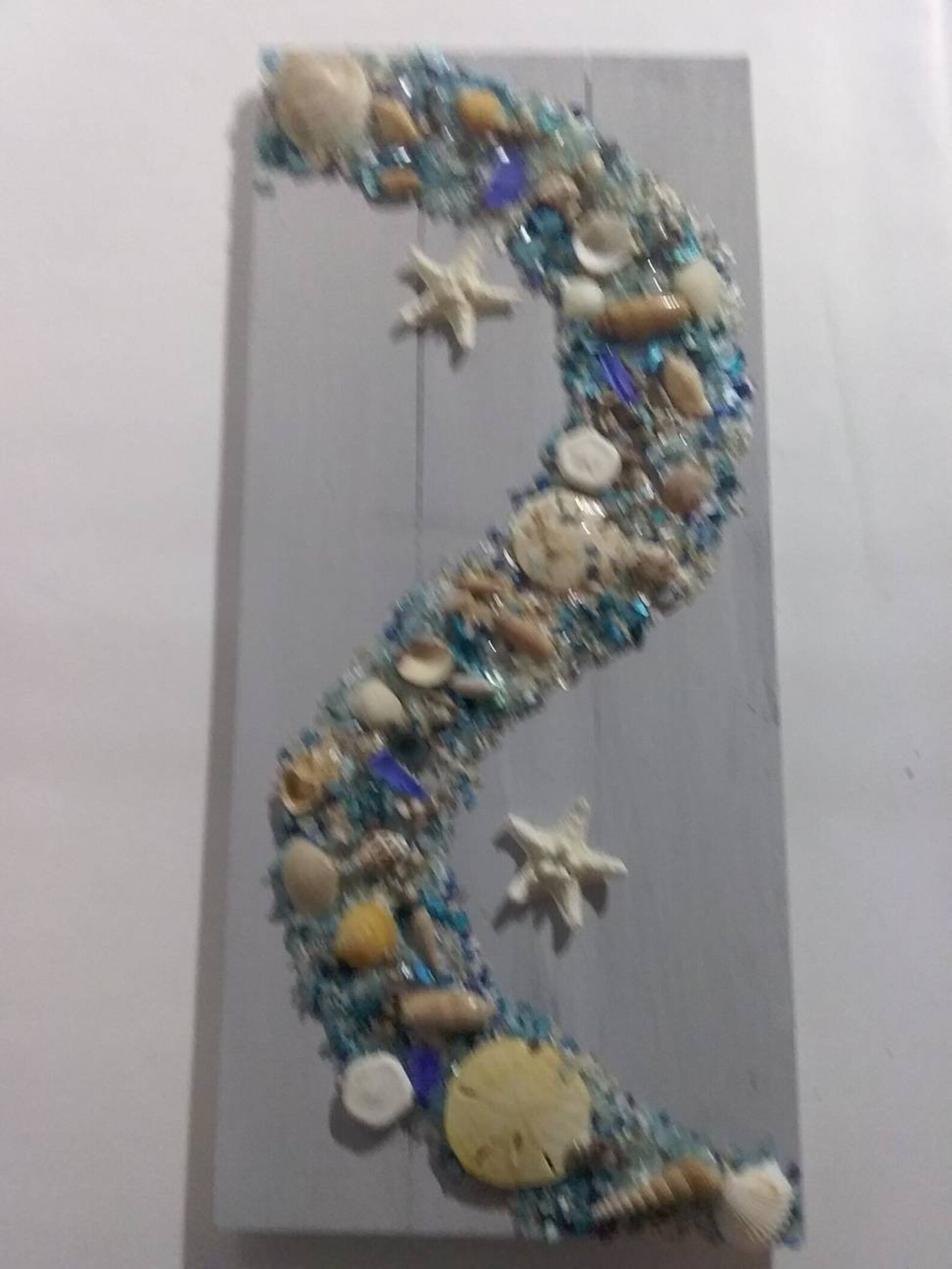 BEACH SHELL Wall Art Sea Shell Summer Decor Mounted on | Etsy