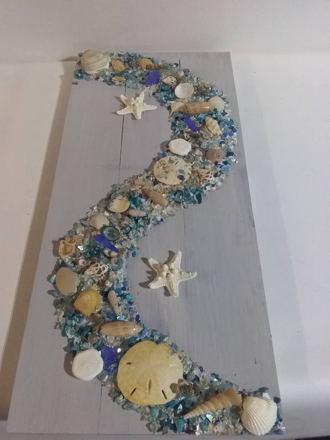 BEACH SHELL Wall Art Sea Shell Summer Decor Mounted on | Etsy