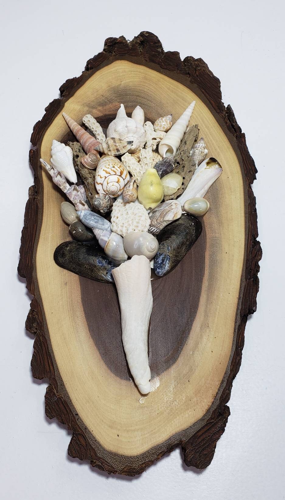 SEA SHELL VASE Wall Hanging Wood Slice Coastal Decor | Etsy