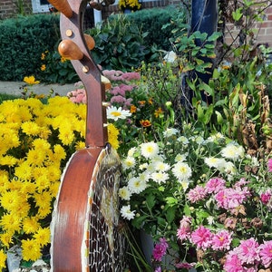 Vintage MOSAIC RUAN CHINESE Moon Guitar With Luna Moth and Moon Chinese ...