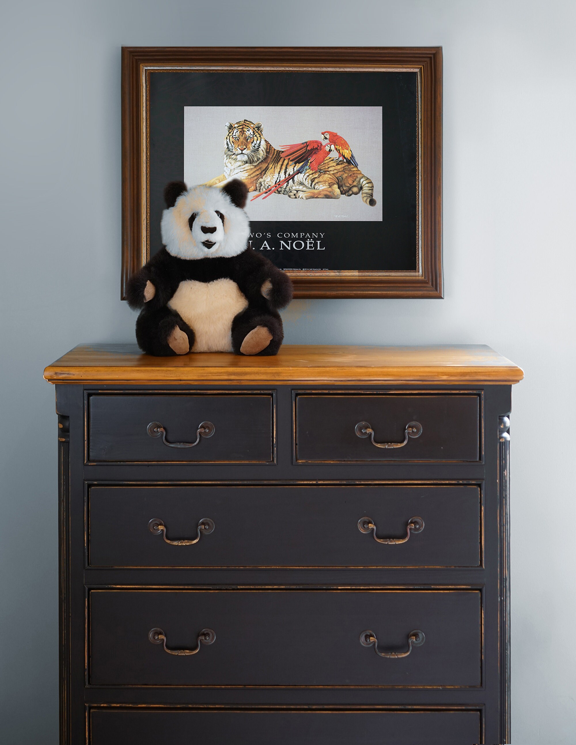 Tiger and Parrot - Vintage Nancy Noel Art Print - 10"h X 17.5"w - Etsy