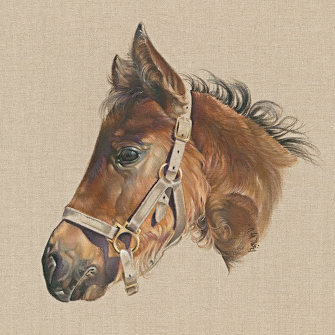 Bay Colt - Oil Painting, Nancy Noel Art Print, Animal Art, Paper or ...