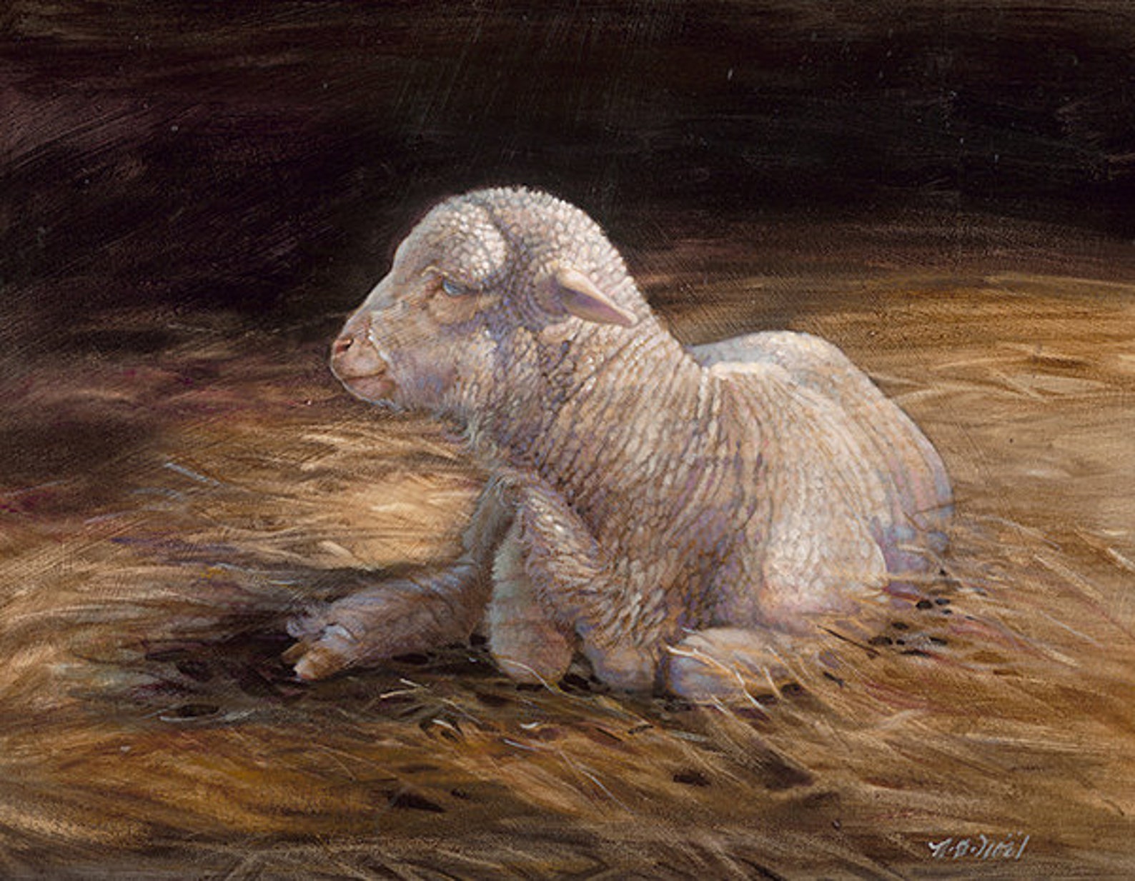 Agneau - Oil Painting, Nancy Noel Art Print, Animal Art, Paper or ...