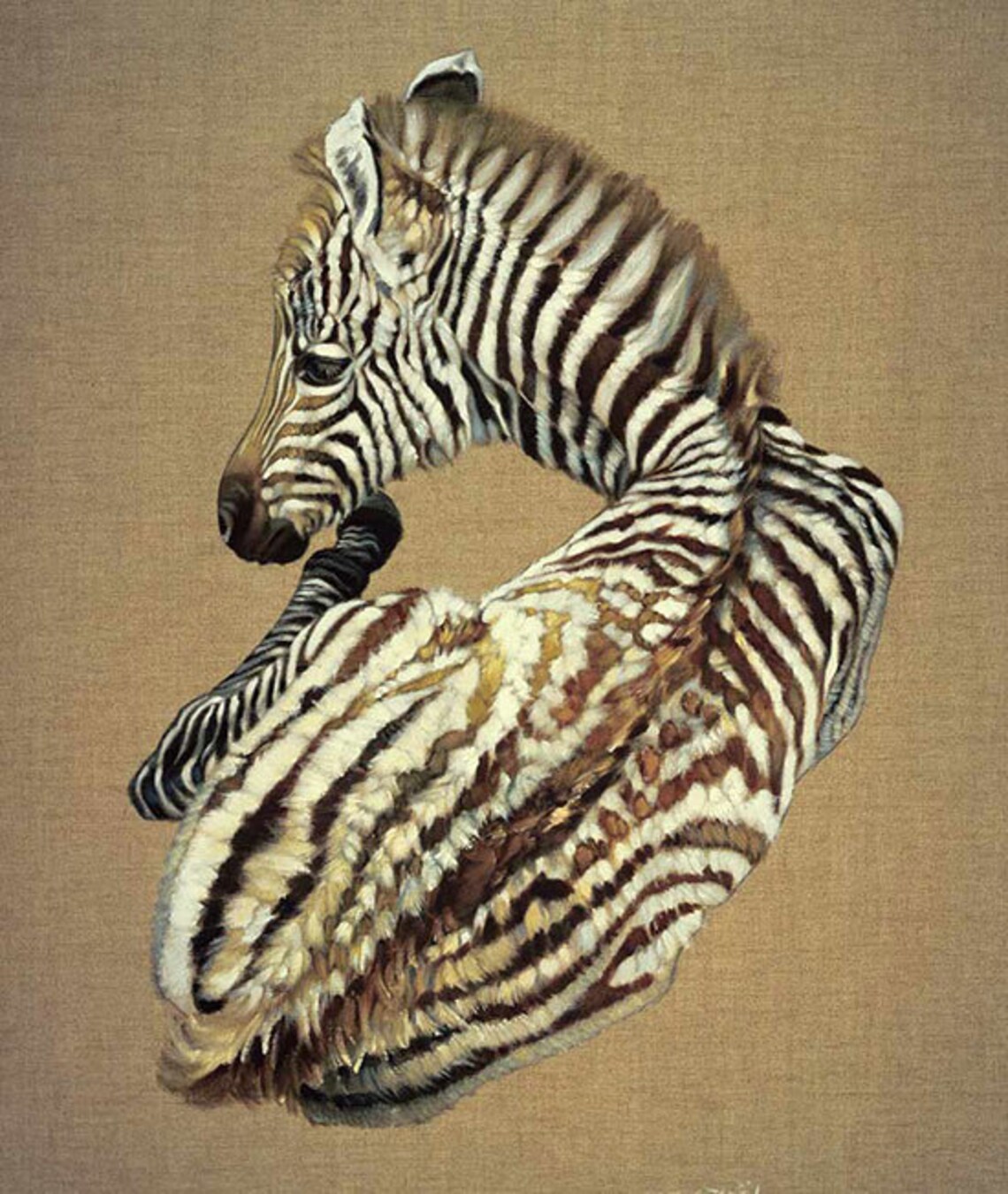 Young Zebra - Oil Painting, Nancy Noel Art Print, Resting Zebra, Africa ...