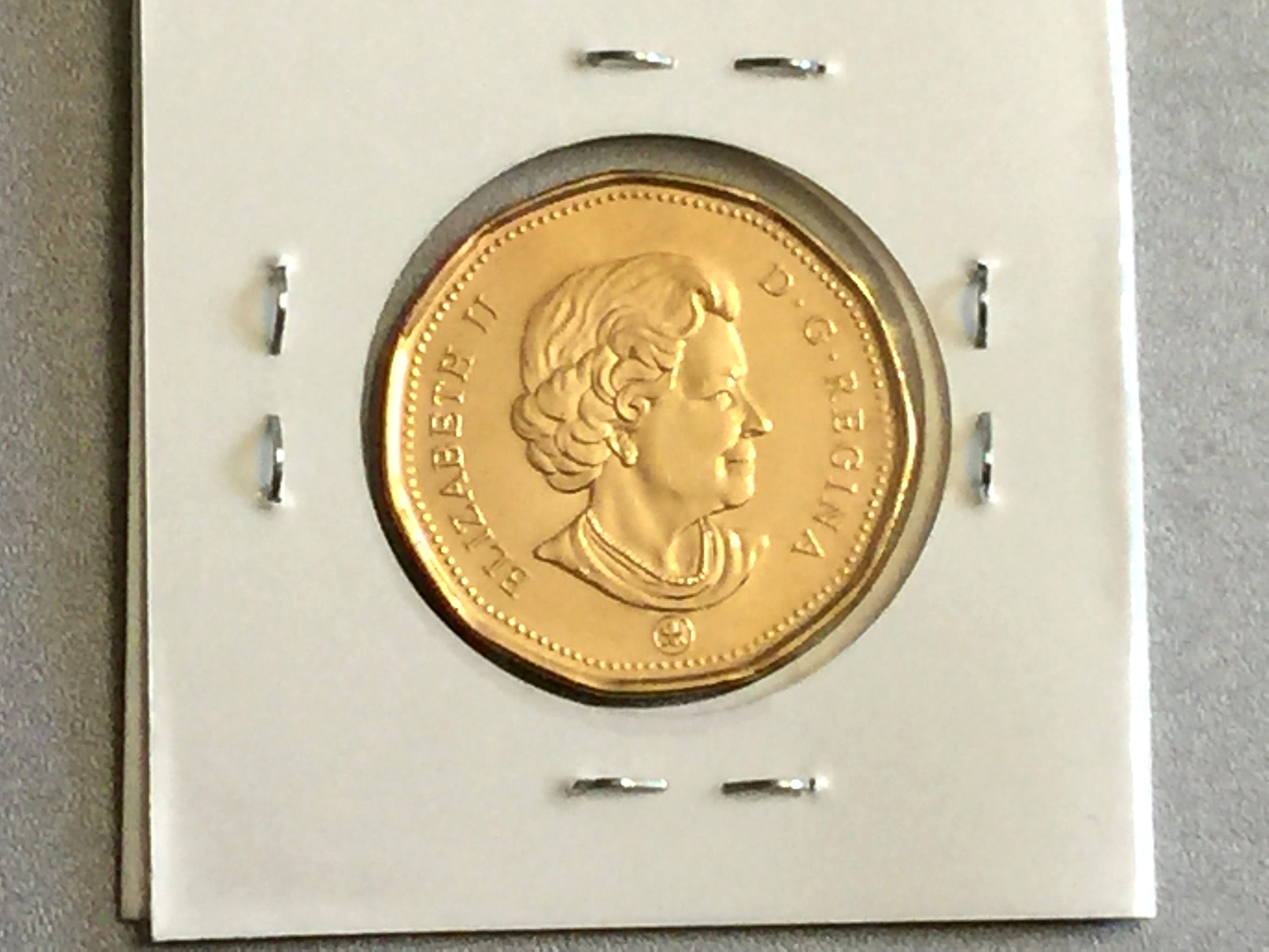 Canada 2012 Dollar Grey Cup 100th Loonie Canada Dollar 1 - Etsy Canada