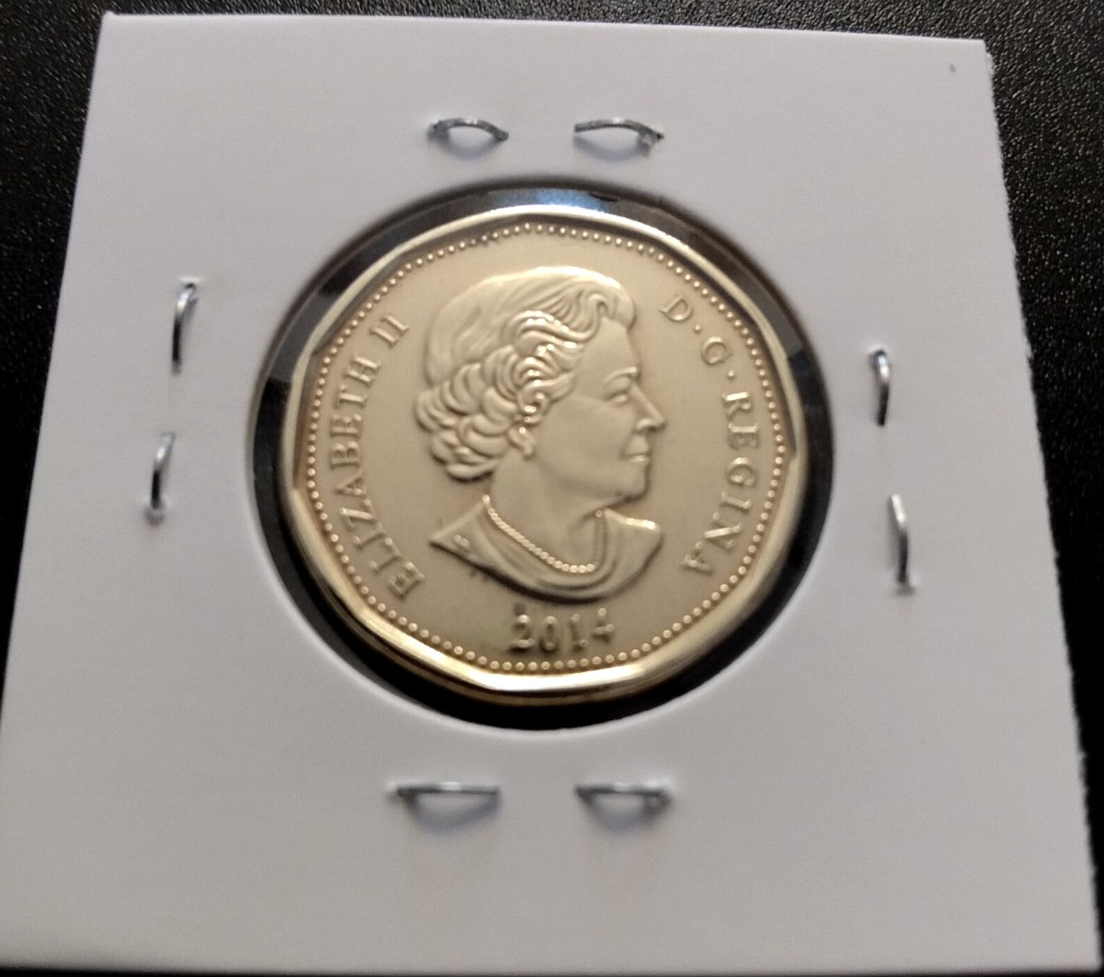 2014 Canada 1 dollar Olympic Lucky Loonie Canada Loonie Coin | Etsy