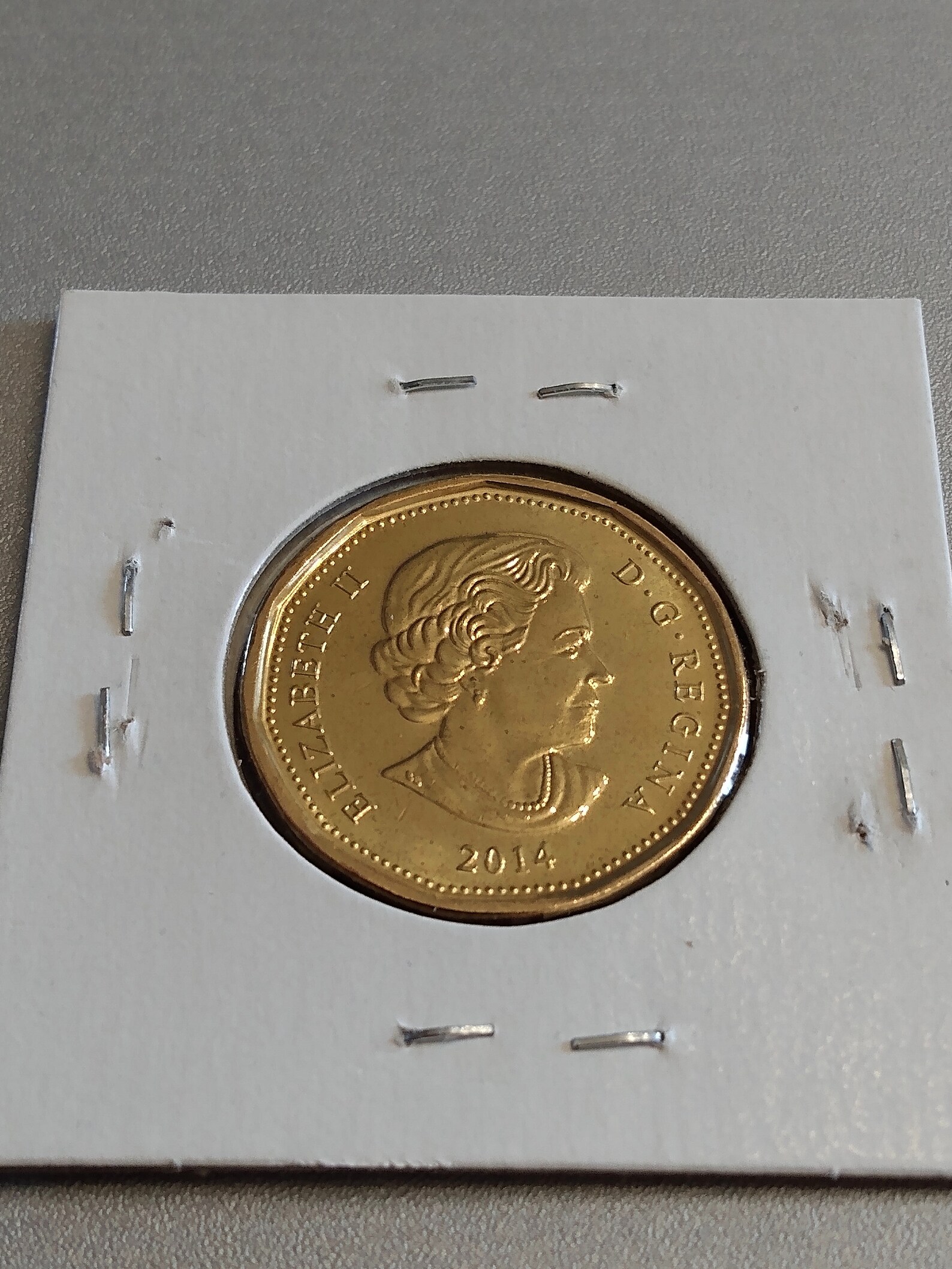 2014 Canada 1 Dollar Olympic Lucky Loonie Canada Loonie Coin - Etsy Canada