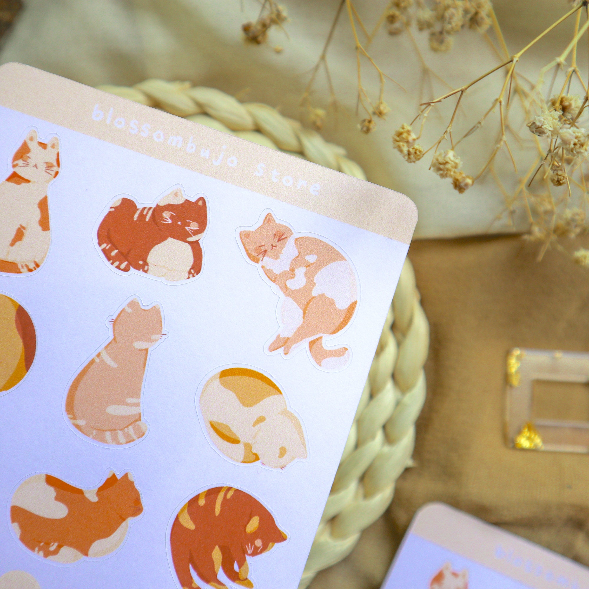 Stickersheet Cute Cats Bullet Journal Stickers Planner - Etsy