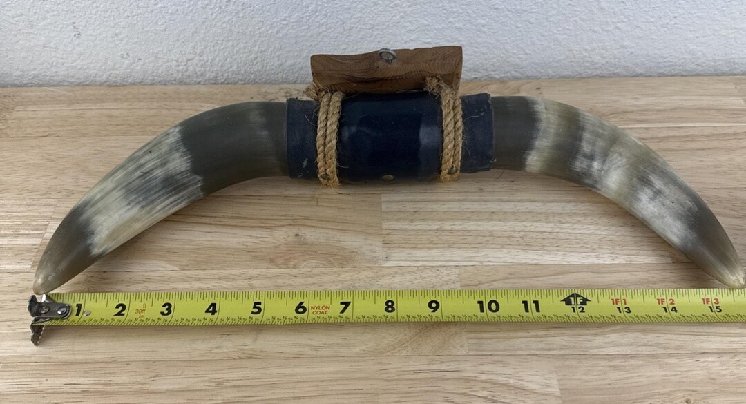 Mounted Steer Bull Horns Cowboy Western Horn Longhorns 15" Wide Leather ...