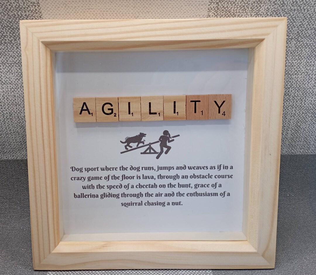 Dog Agility Frame Gift for Her, Agility Dog Owner Wall Decoration, Home ...