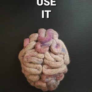 Large Human Brain Ornament, Anatomy Art Model Textile Sculpture ...