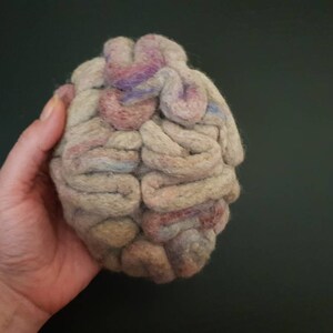 Large Human Brain Ornament, Anatomy Art Model Textile Sculpture ...