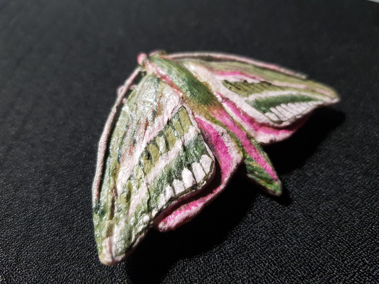 Moth Ornament Elephant Hawk Fake Taxidermy Butterfly - Etsy