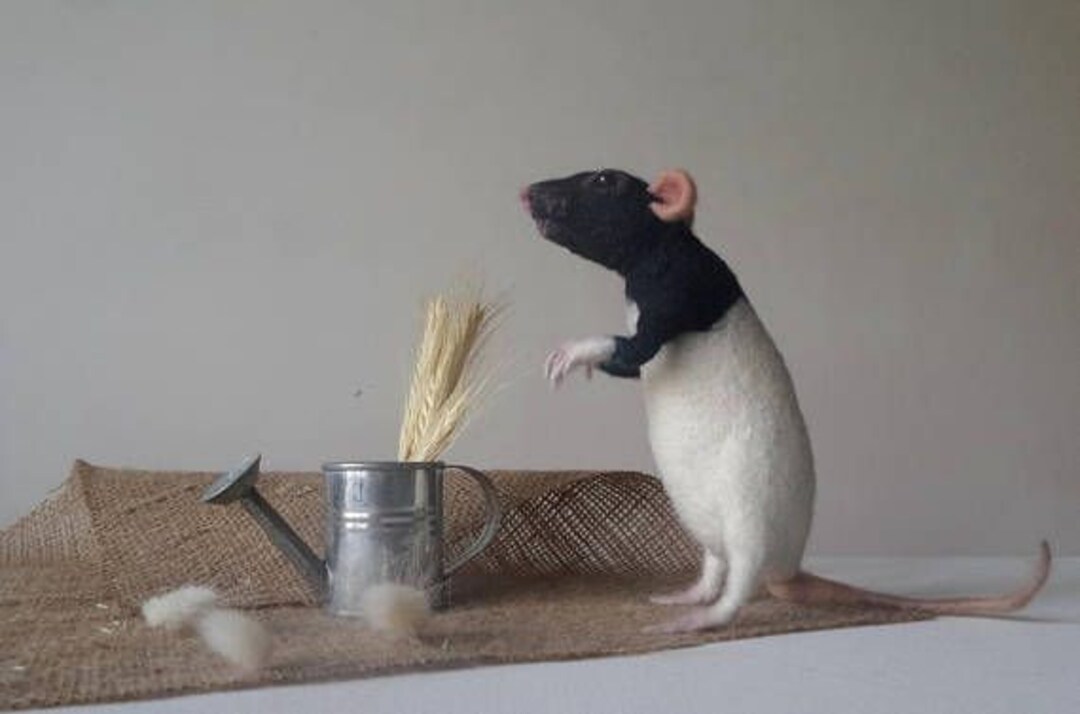 Realistic Rat Model, Anatomical Art Doll, Felt Animal Sculpture - Etsy