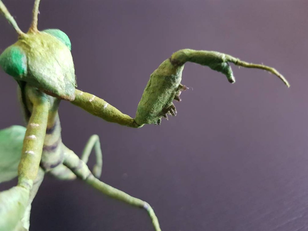 Praying Mantis Soft Sculpture Art Figurine - Etsy